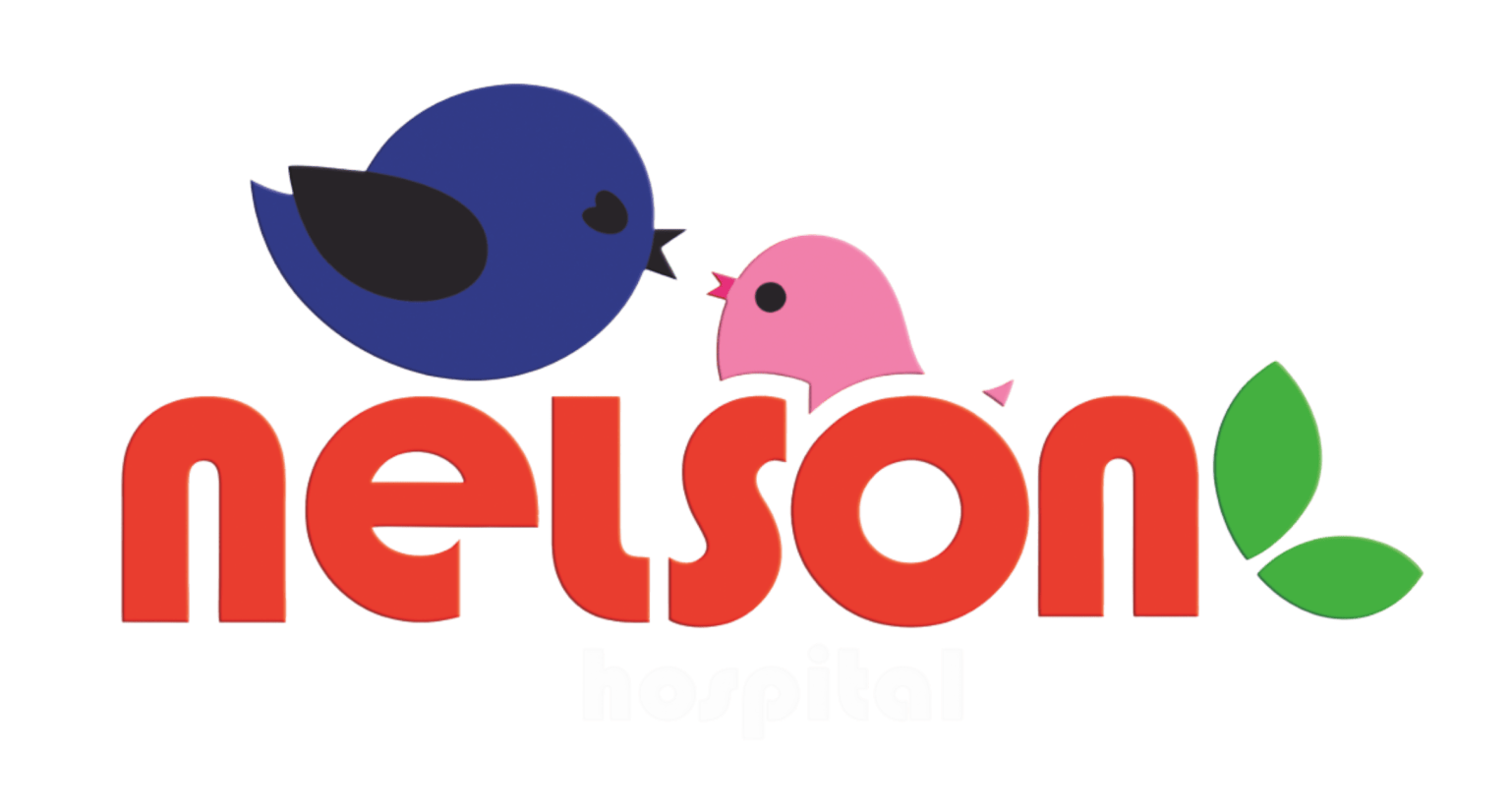 Hip Replacement Surgery | Nelson Hospital